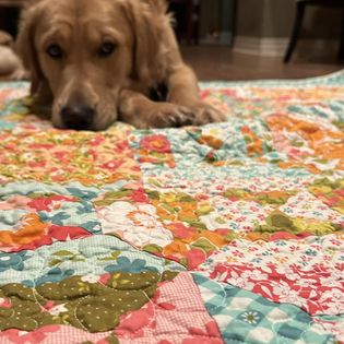 Longarm Quilting 101: Mastering the Basics - Thread the Needle Quilt Studio